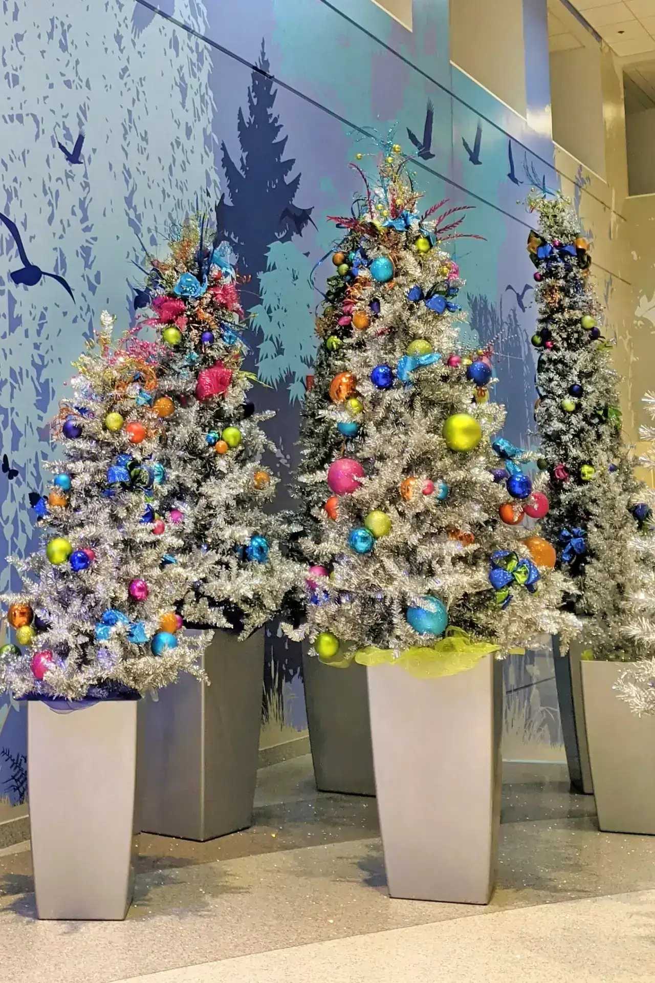 Plant Services at Oakland Green Interiors in Columbus, OH